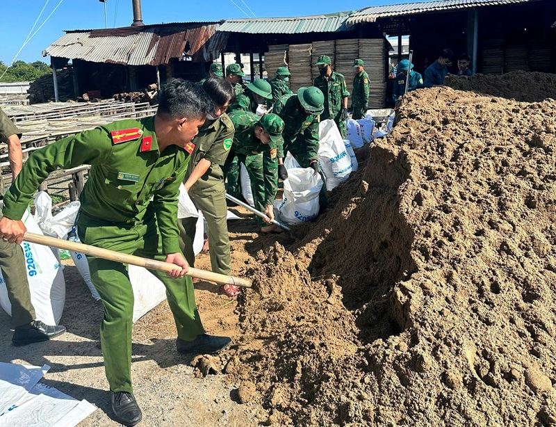 Chống bão số 10 (Buloi) tại xã Tân Hải: Tình quân dân còn mãi
